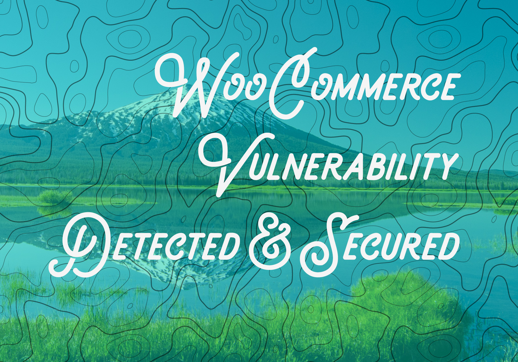 WooCommerce - Vulnerability detected - Alpenglow Agency WooCommerce - Vulnerability detected - Alpenglow Agency